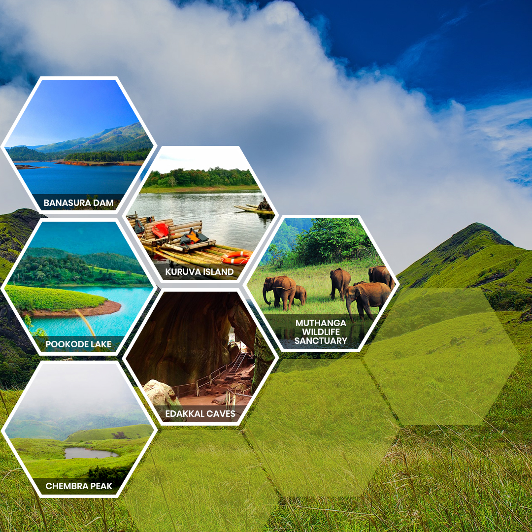 Lanternstay:Hidden magnificence of Wayanad for nature lovers