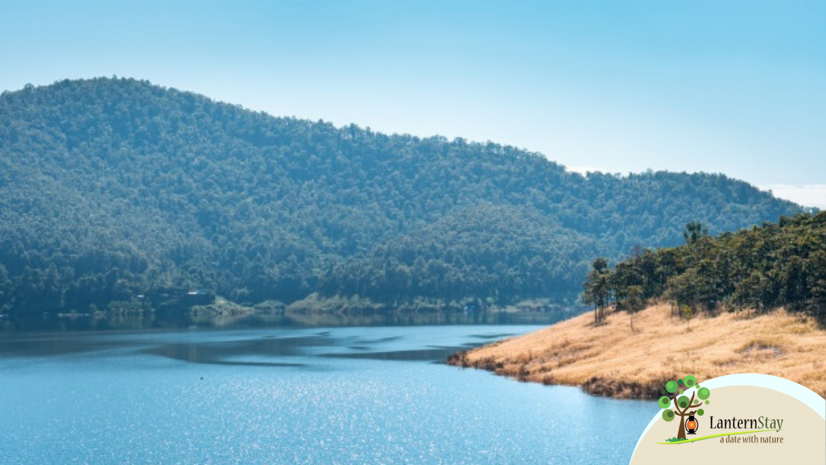 Attractions Of Wayanad: The Extensive Scenic Spot to Explore