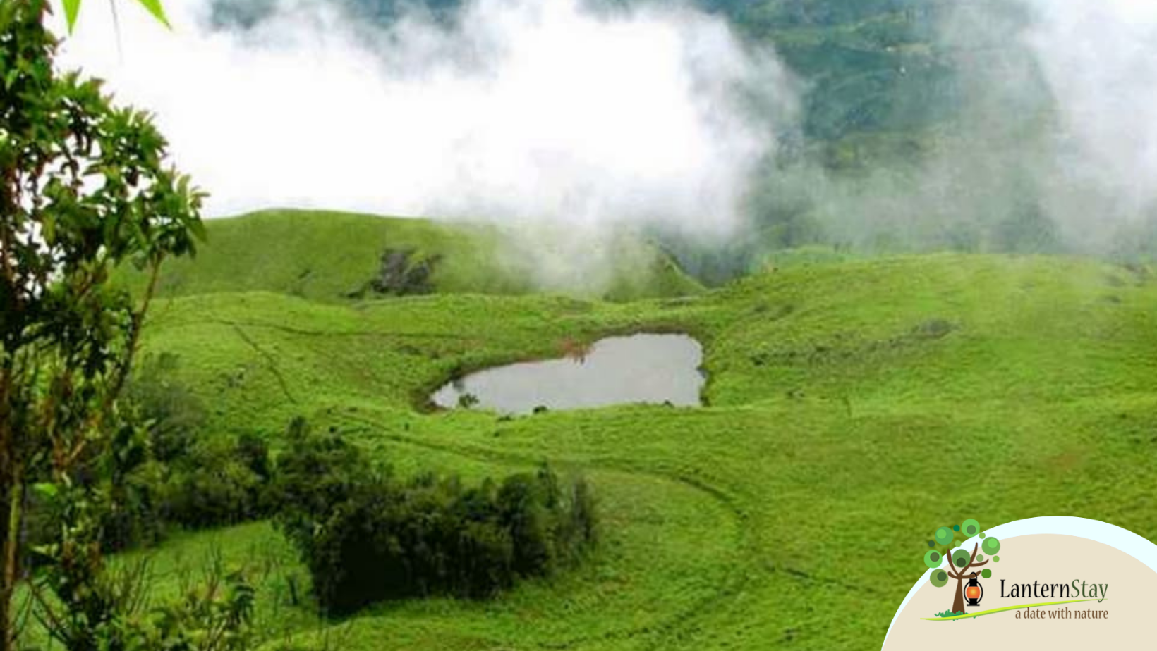 Attractions Of Wayanad: The Extensive Scenic Spot to Explore