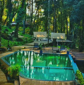 Forest Resort in Wayanad - Jungle Tours and Holidays Kerala